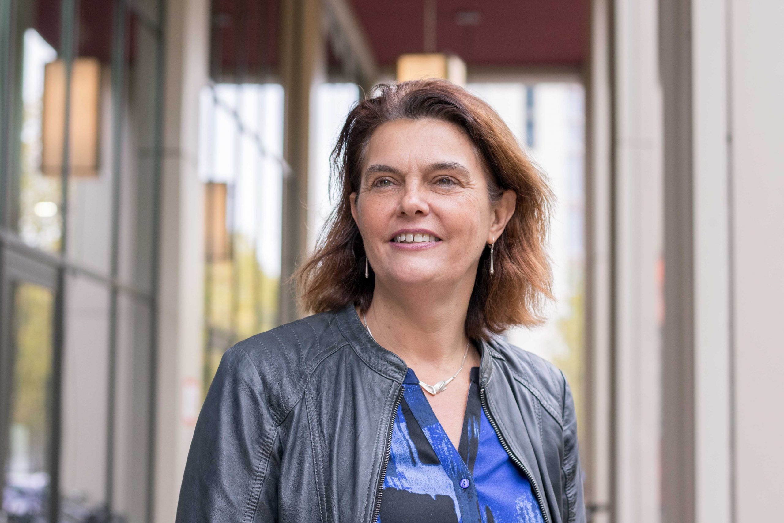 Hilde Wolters-Spithoff - Brink