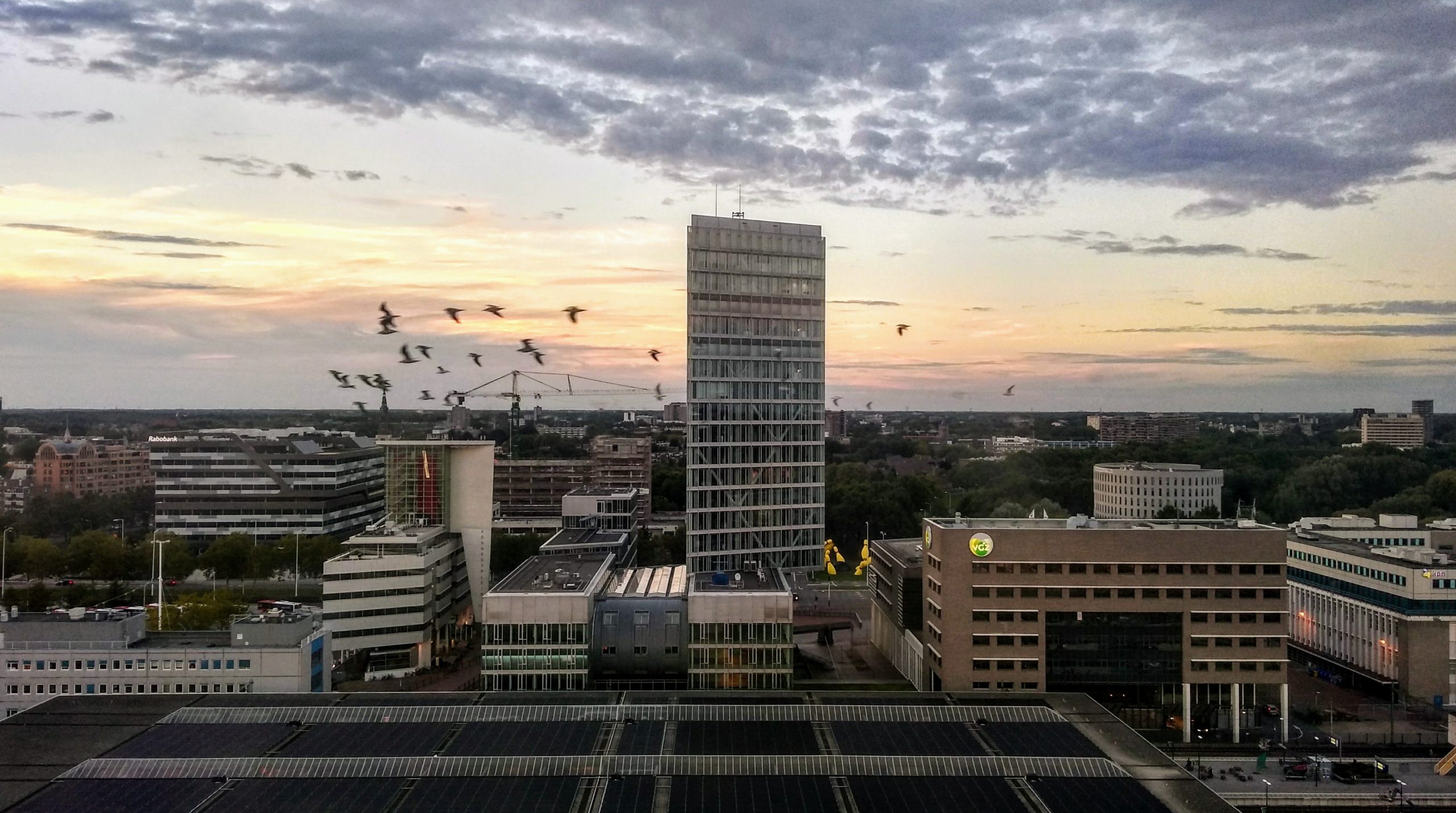 Circulair bouwen als gezamenlijke opgave - Brink